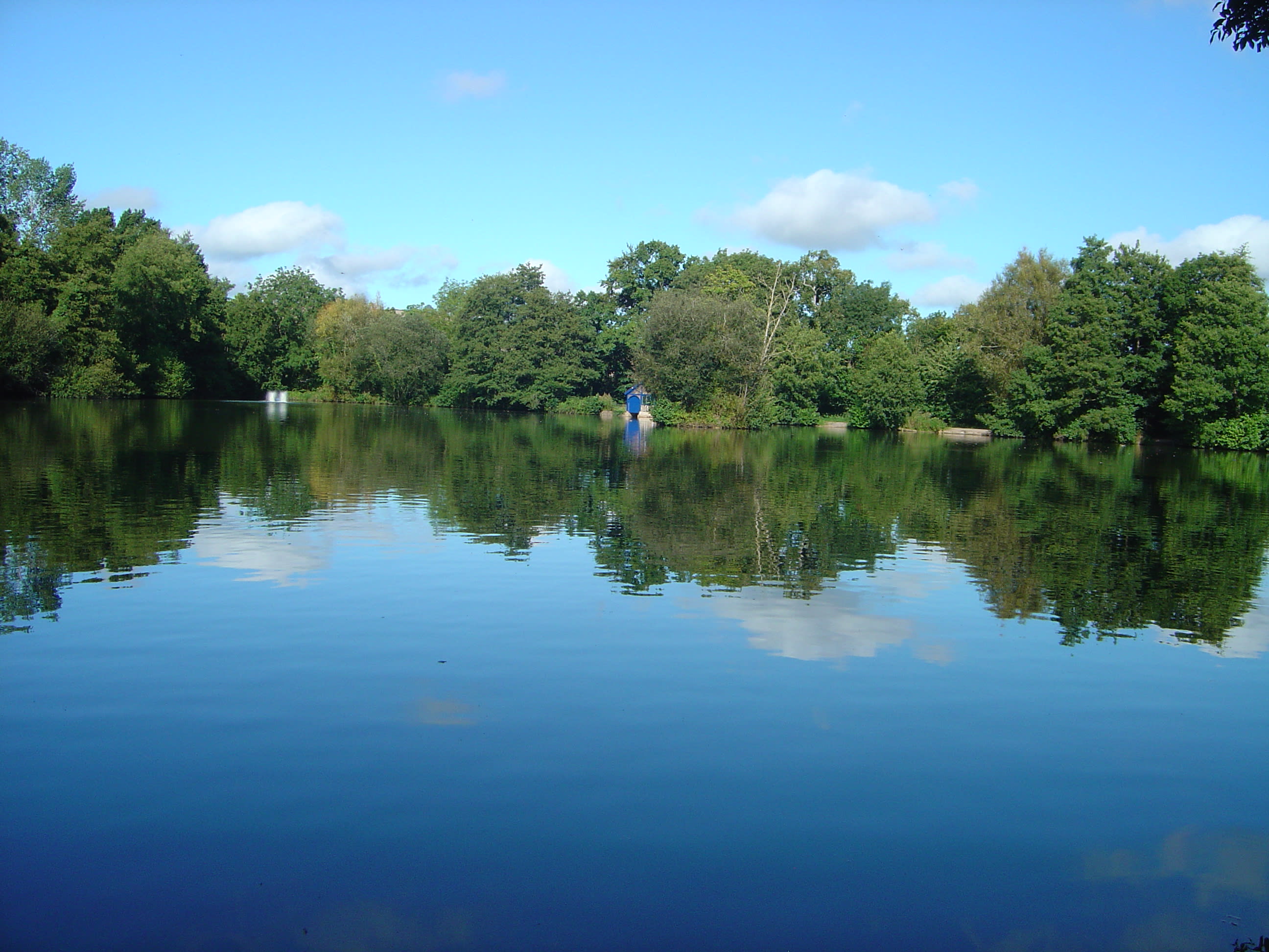 Raise your fishing game anywhere with Catch. Elevate your fishing ...