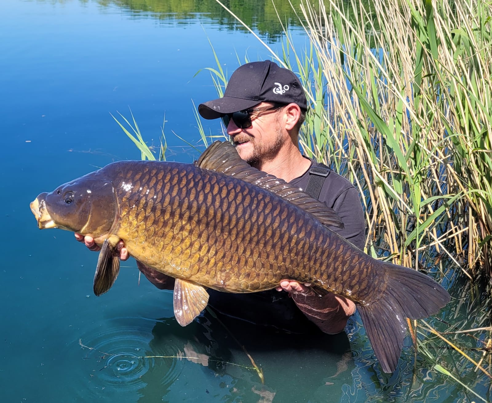 Raise your fishing game anywhere with Catch. Elevate your fishing ...