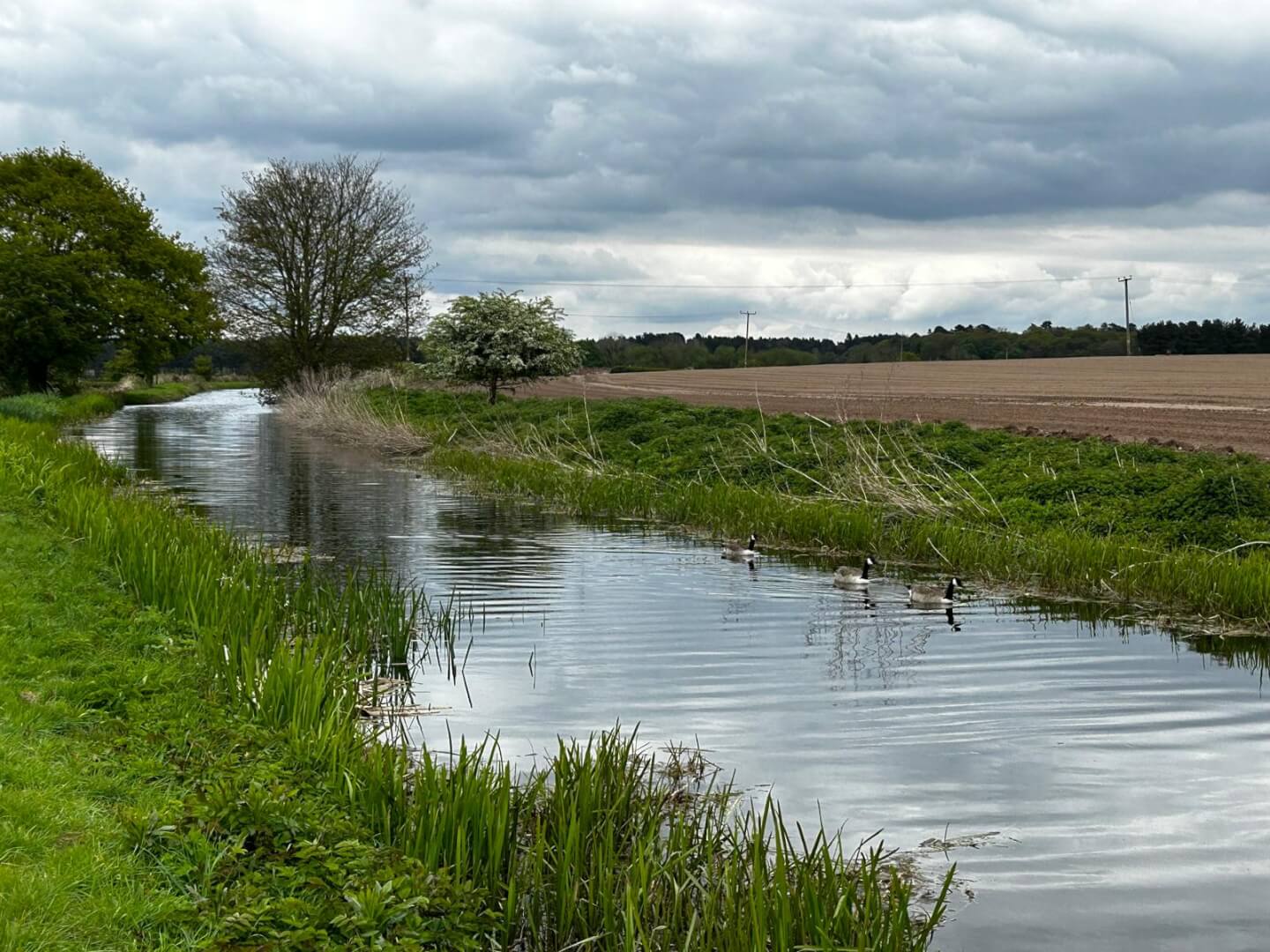 Raise your fishing game anywhere with Catch. Elevate your fishing ...