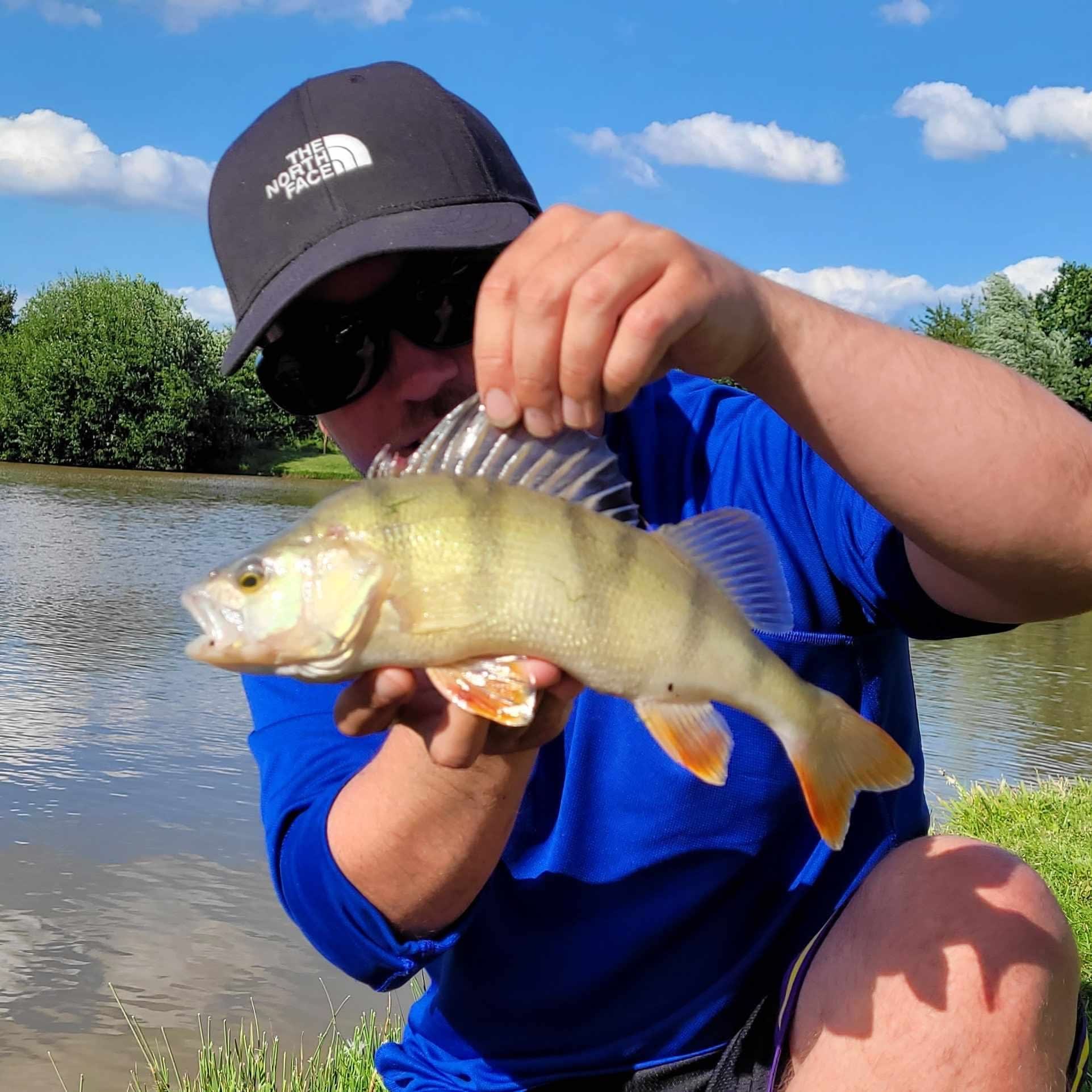 Raise your fishing game anywhere with Catch. Elevate your fishing ...