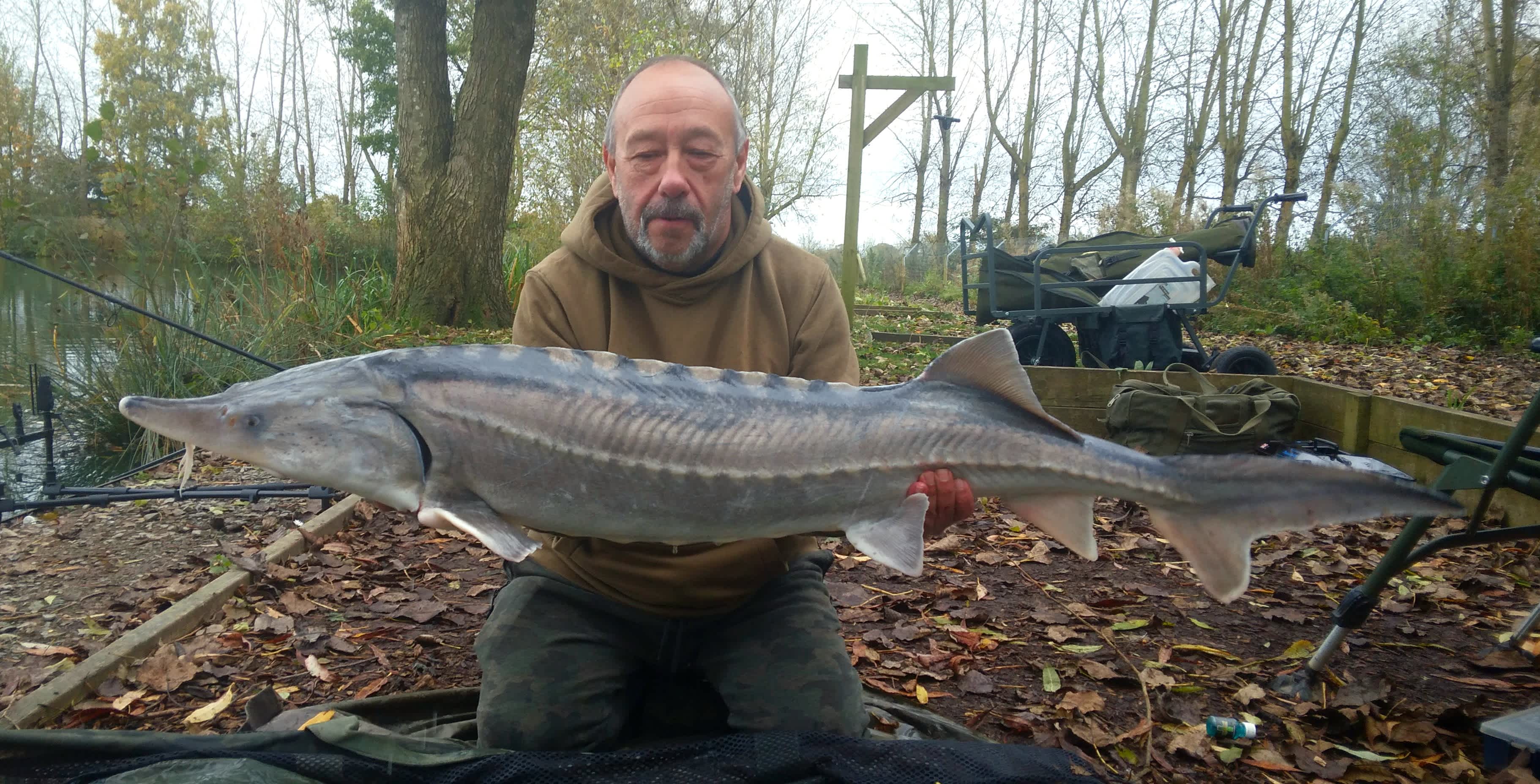 Raise your fishing game anywhere with Catch. Elevate your fishing ...