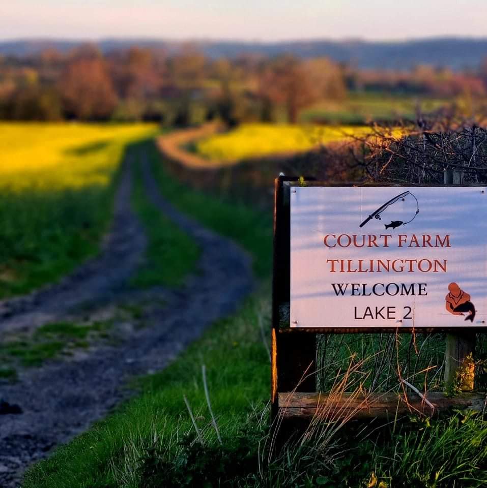 Raise your fishing game anywhere with Catch. Elevate your fishing ...