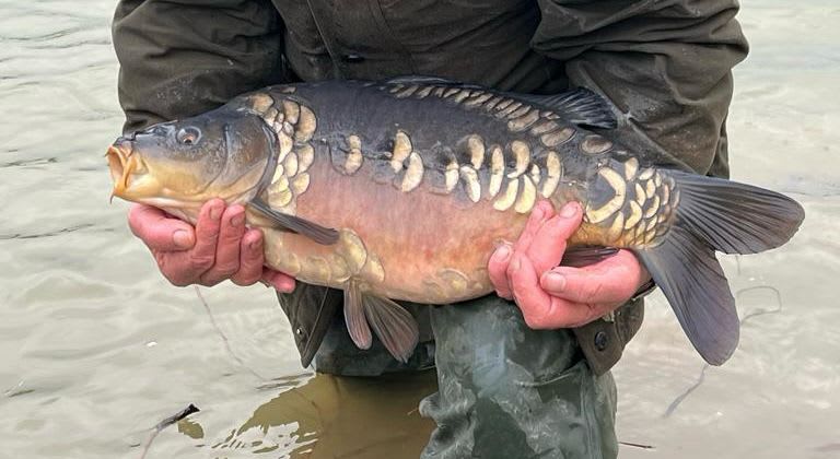 Raise your fishing game anywhere with Catch. Elevate your fishing ...