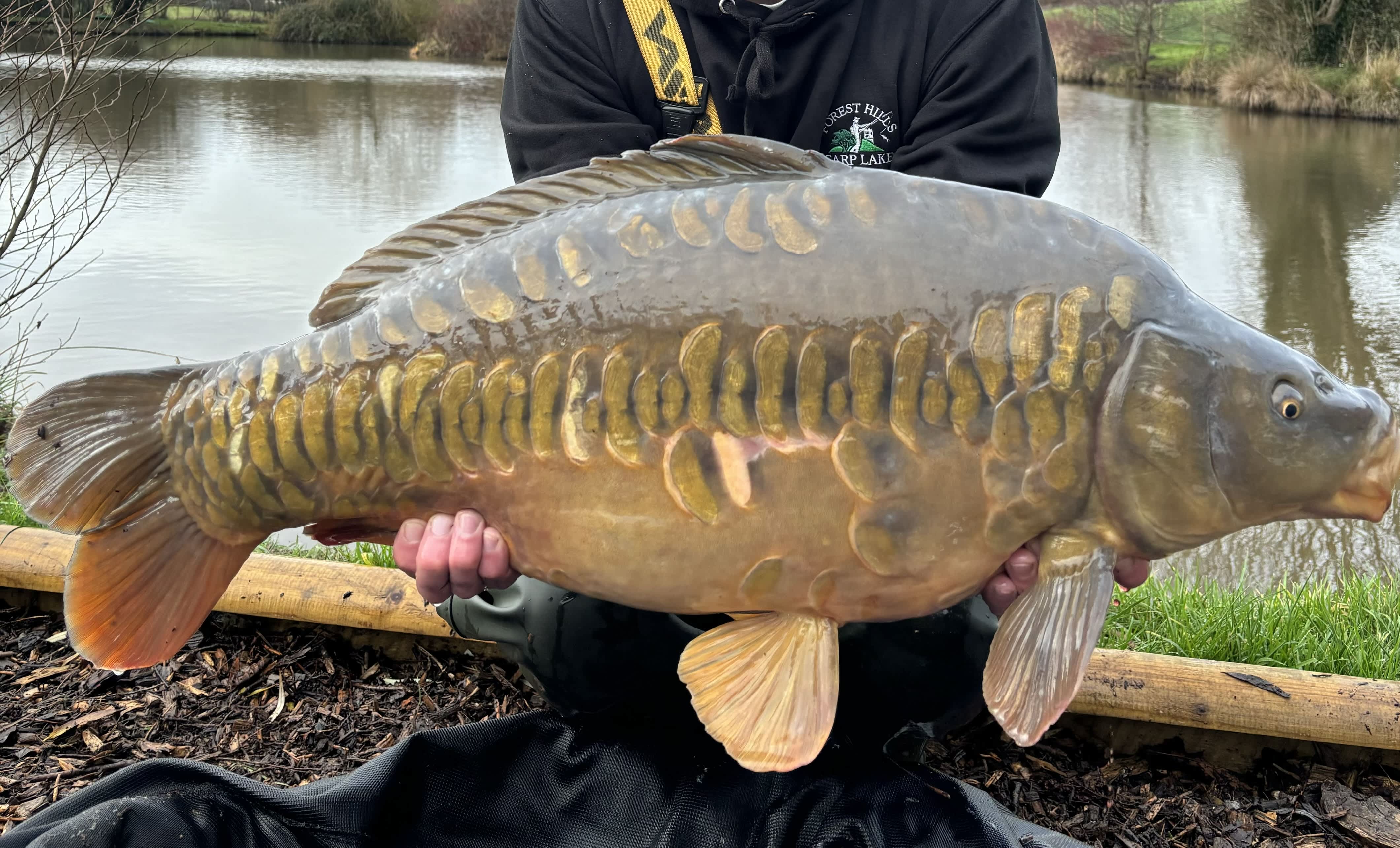 Raise your fishing game anywhere with Catch. Elevate your fishing experience with one simple ...