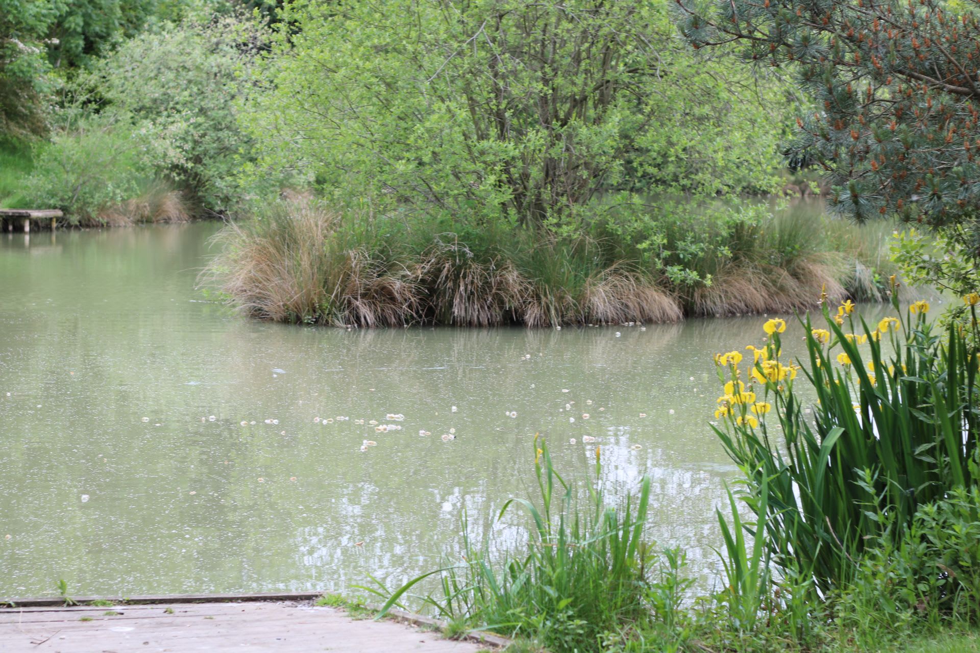 Raise your fishing game anywhere with Catch. Elevate your fishing ...