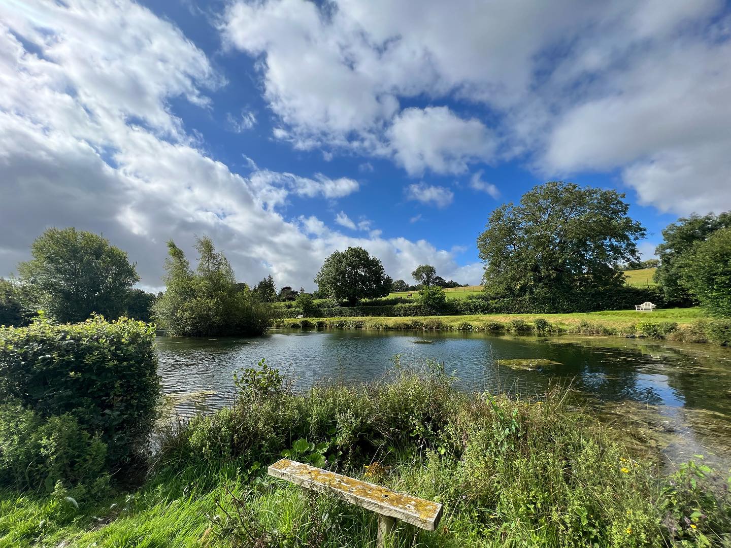 One place to go, for the novice or pro anglers | Catch