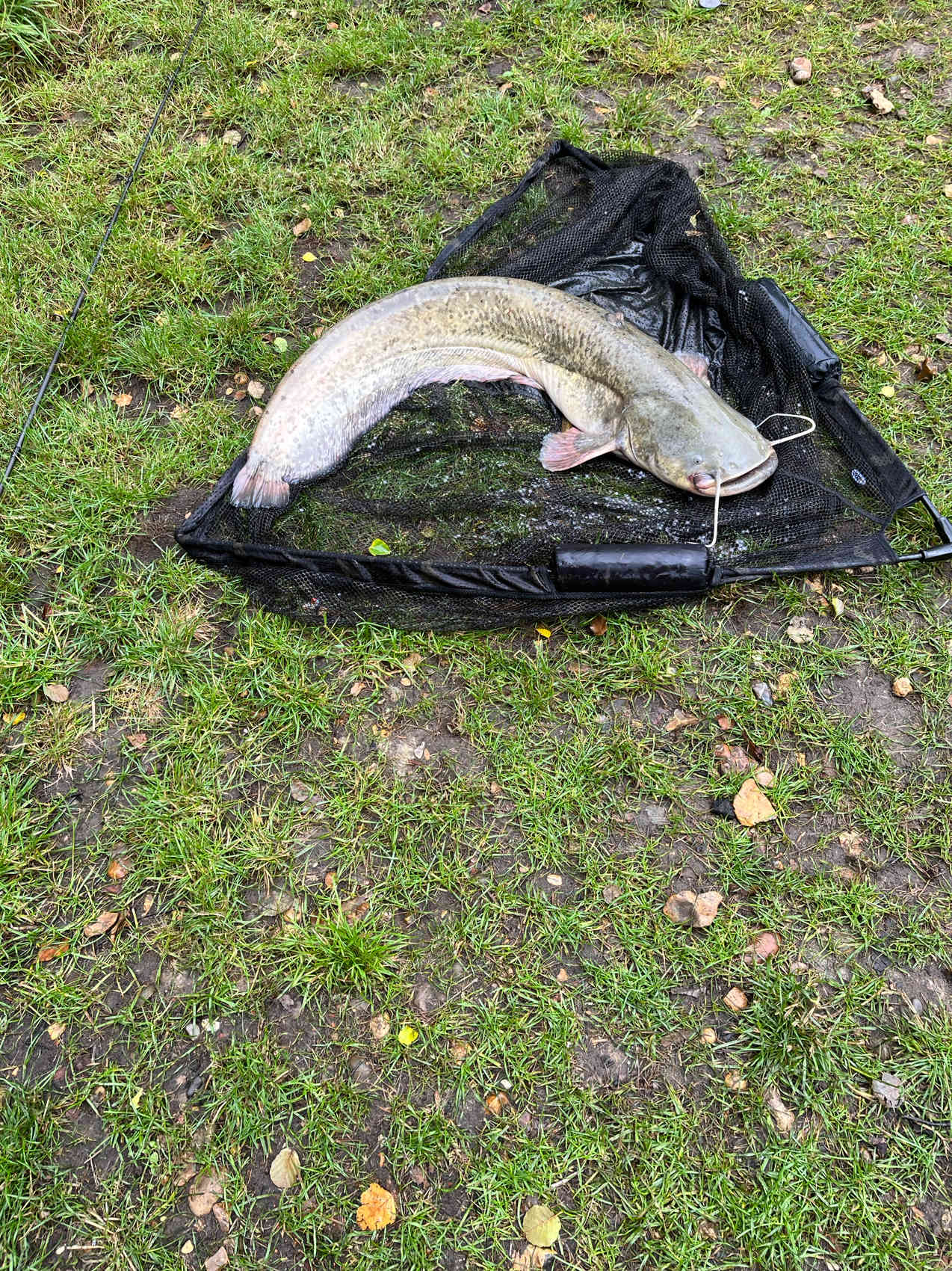 One place to go, for the novice or pro anglers | Catch