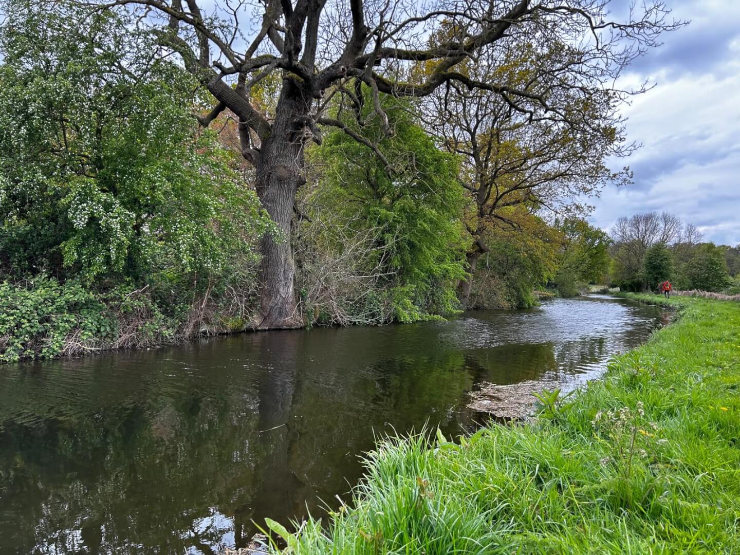 Raise your fishing game anywhere with Catch. Elevate your fishing ...