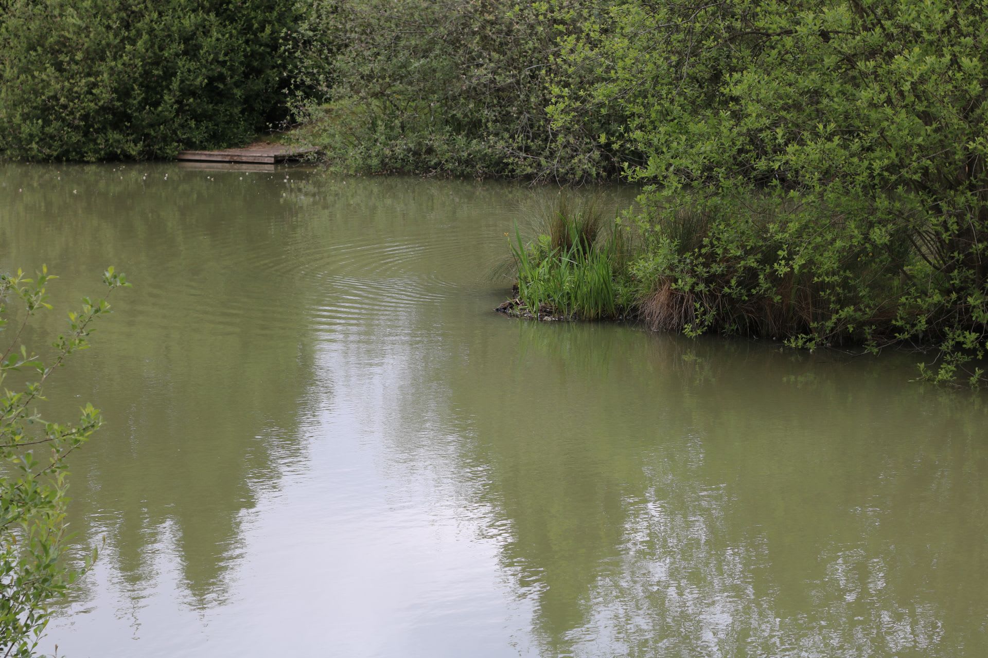 Raise your fishing game anywhere with Catch. Elevate your fishing ...