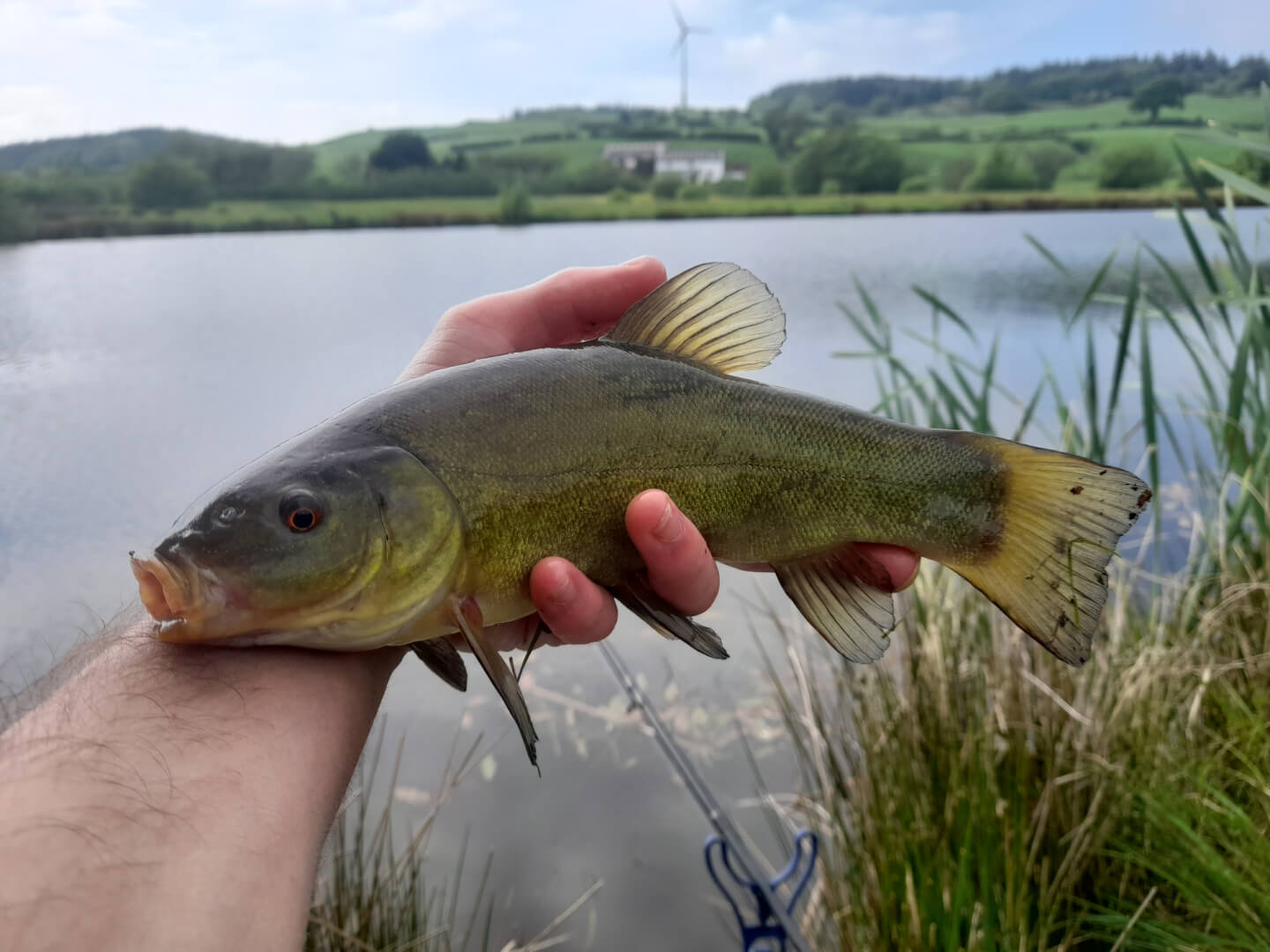 One place to go, for the novice or pro anglers | Catch