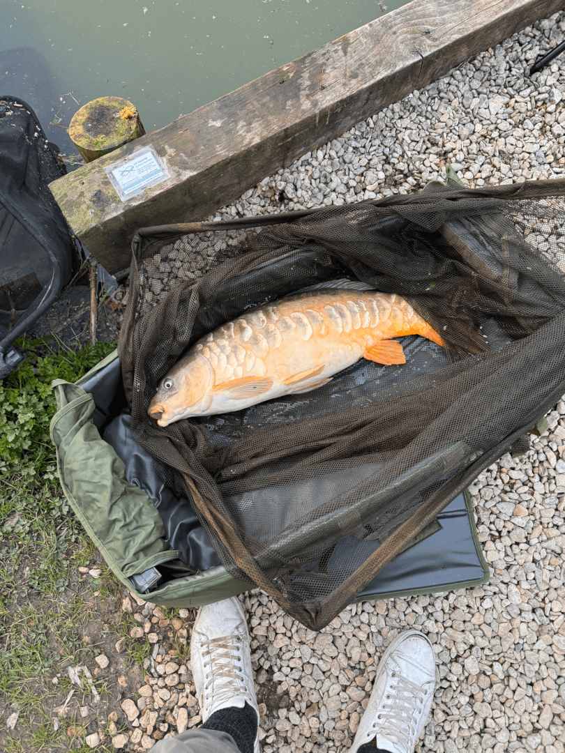 One place to go, for the novice or pro anglers | Catch