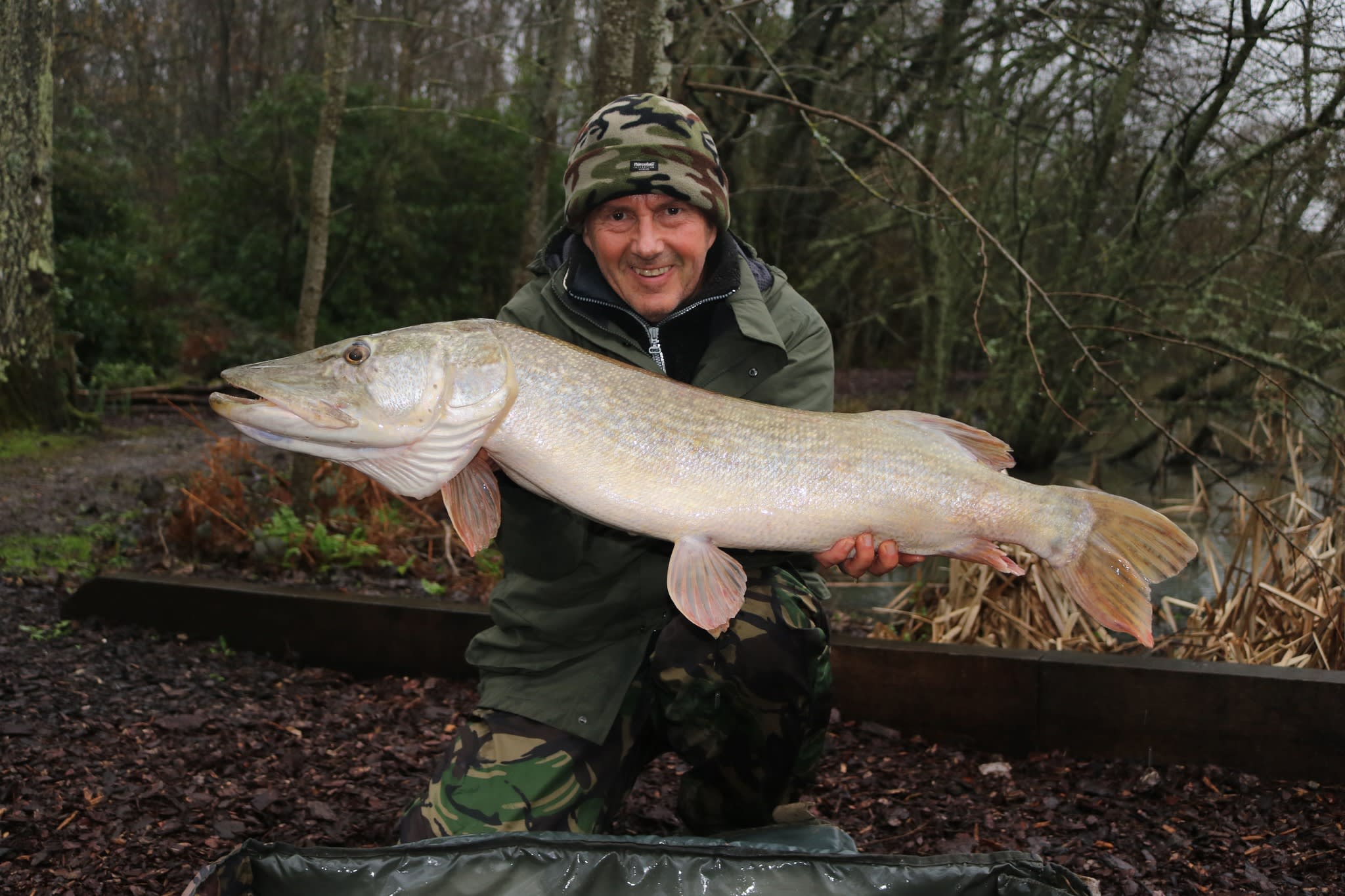 Raise your fishing game anywhere with Catch. Elevate your fishing ...