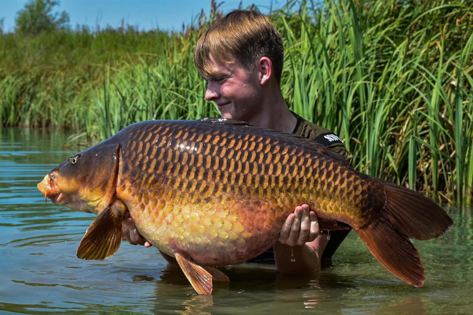 Raise your fishing game anywhere with Catch. Elevate your fishing ...