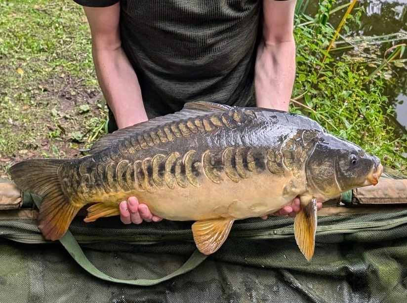 One place to go, for the novice or pro anglers | Catch