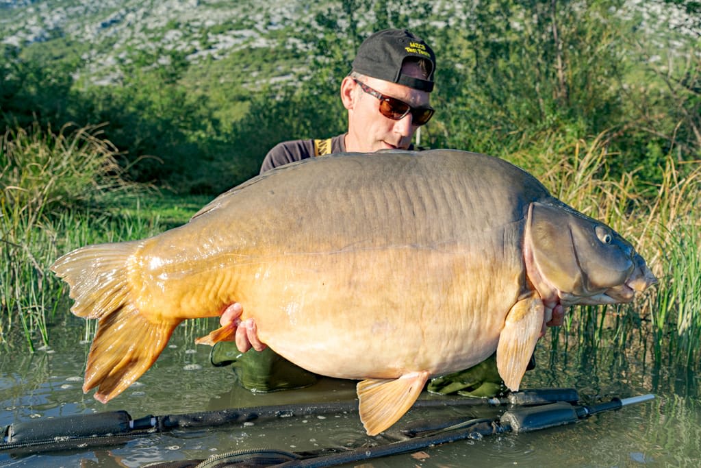 Raise your fishing game anywhere with Catch. Elevate your fishing ...