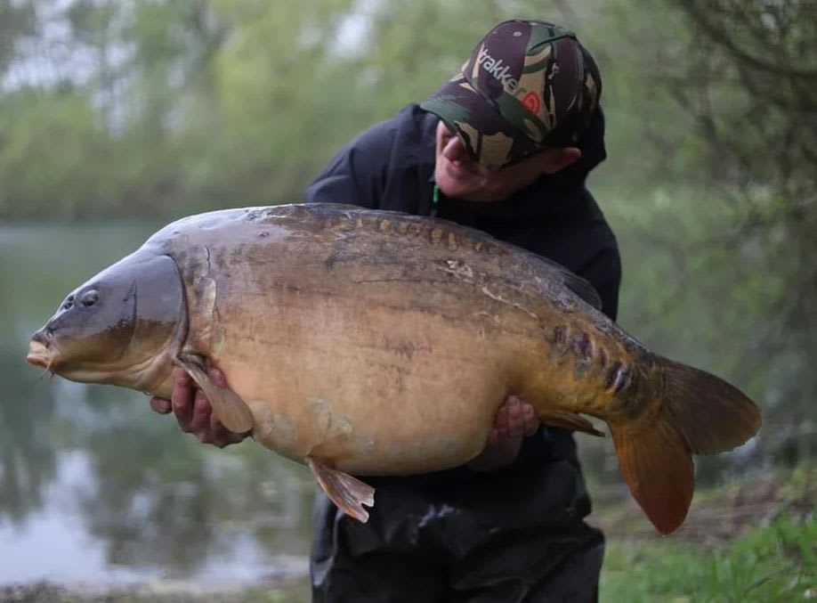 Raise your fishing game anywhere with Catch. Elevate your fishing experience with one simple ...