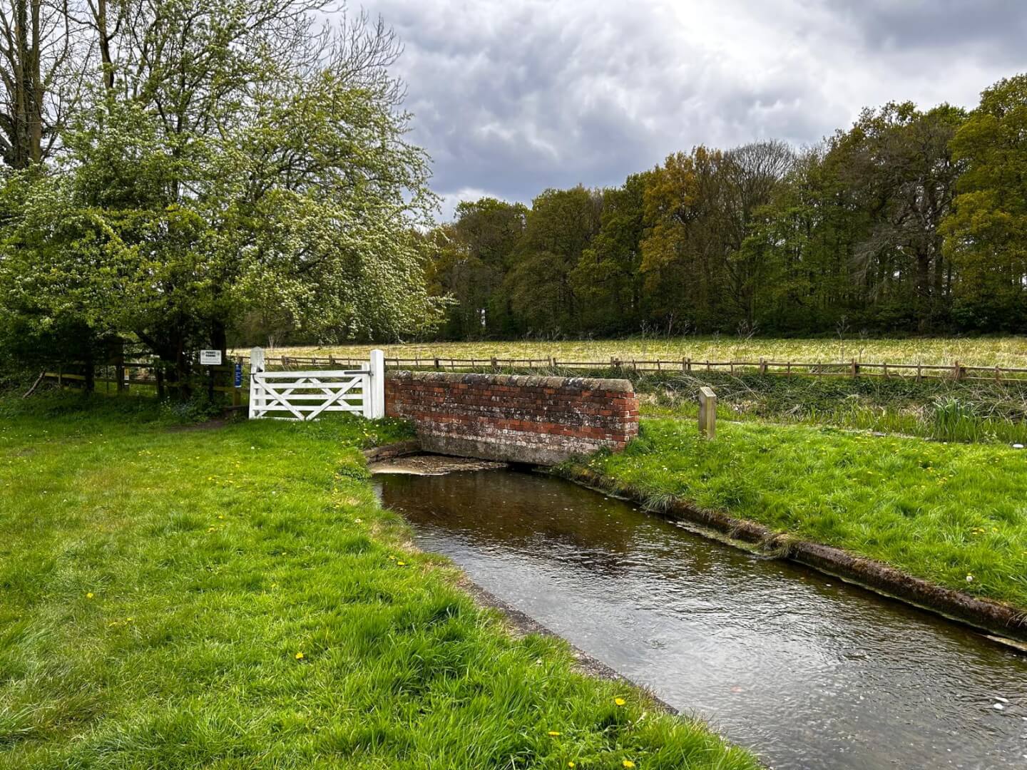 Raise your fishing game anywhere with Catch. Elevate your fishing ...