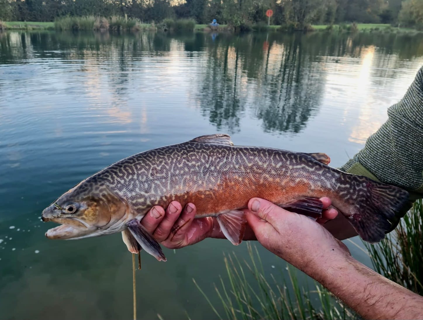 Raise your fishing game anywhere with Catch. Elevate your fishing ...