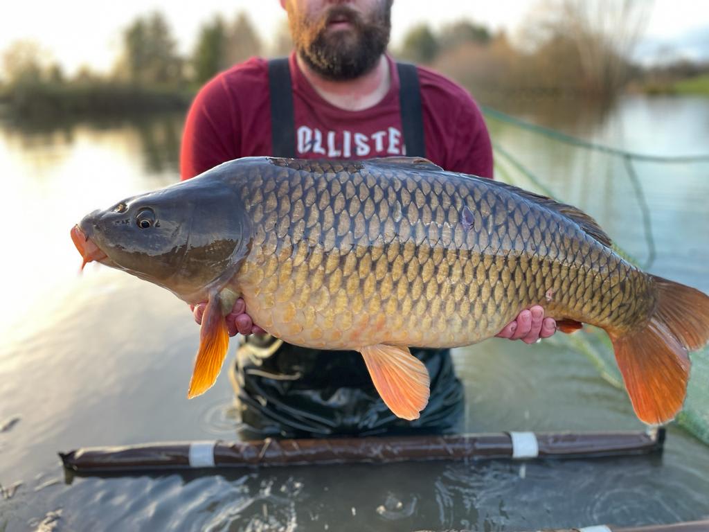 Raise your fishing game anywhere with Catch. Elevate your fishing ...