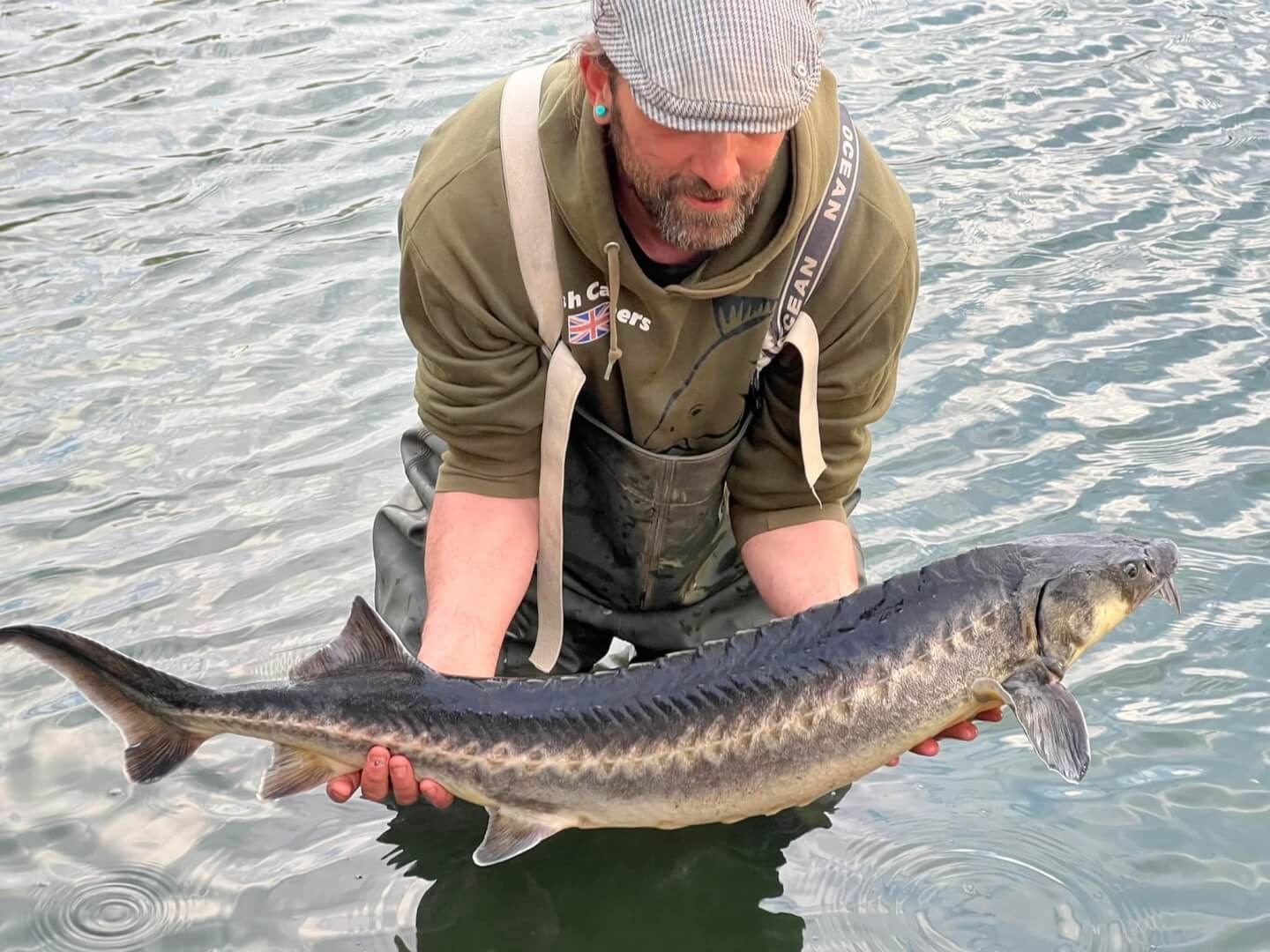 Raise your fishing game anywhere with Catch. Elevate your fishing ...