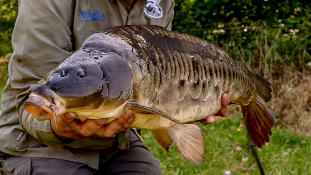 Raise your fishing game anywhere with Catch. Elevate your fishing ...