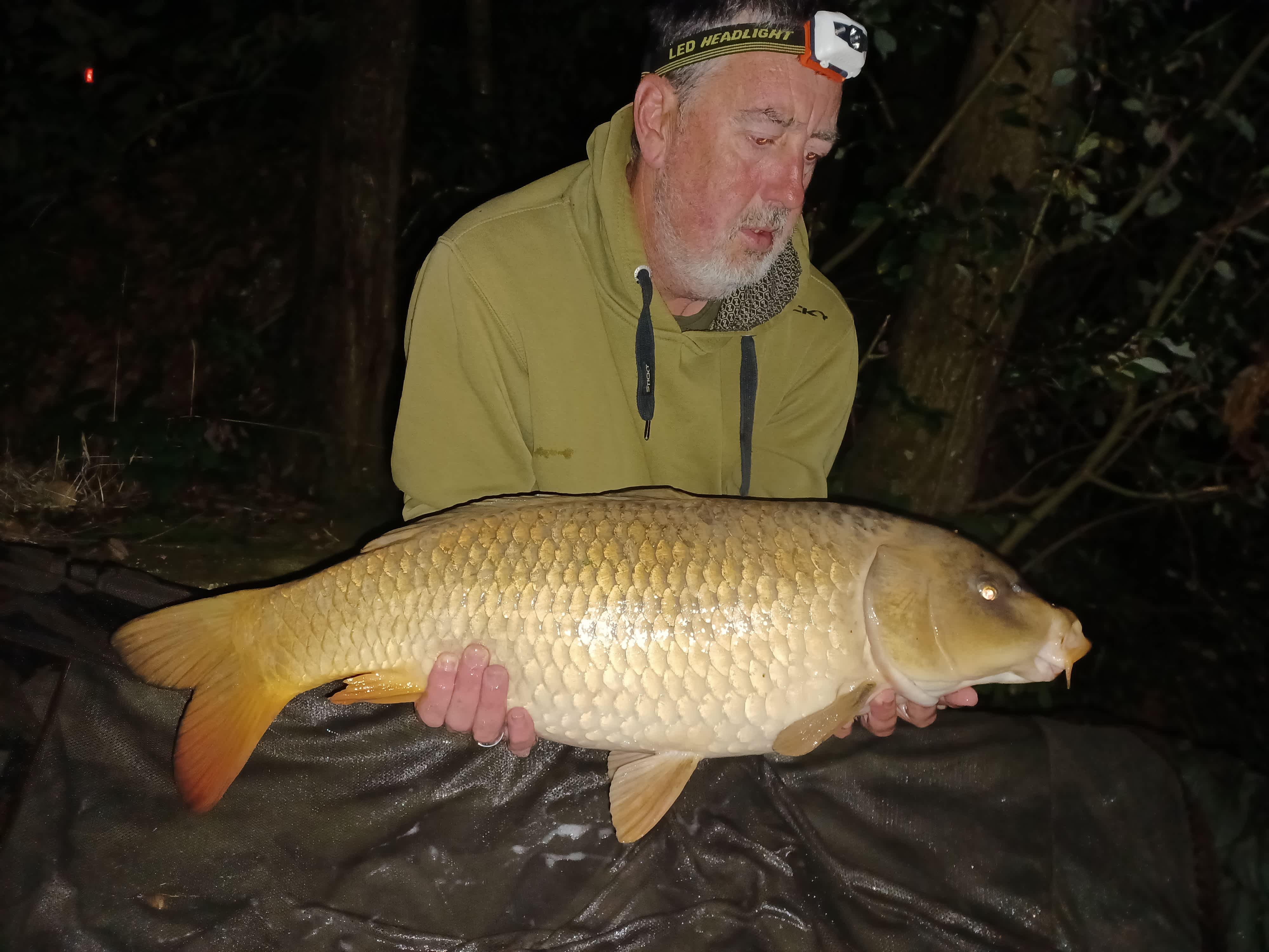 Raise your fishing game anywhere with Catch. Elevate your fishing ...