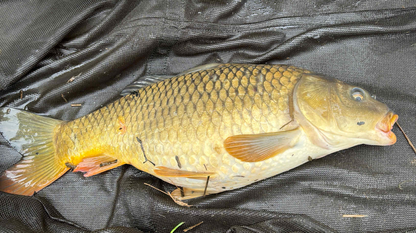 One place to go, for the novice or pro anglers | Catch