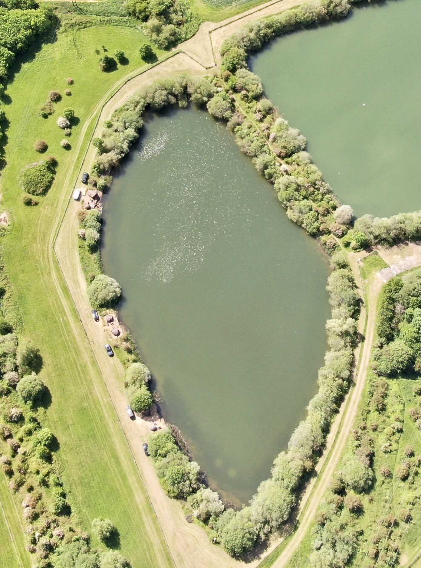 Raise your fishing game anywhere with Catch. Elevate your fishing ...