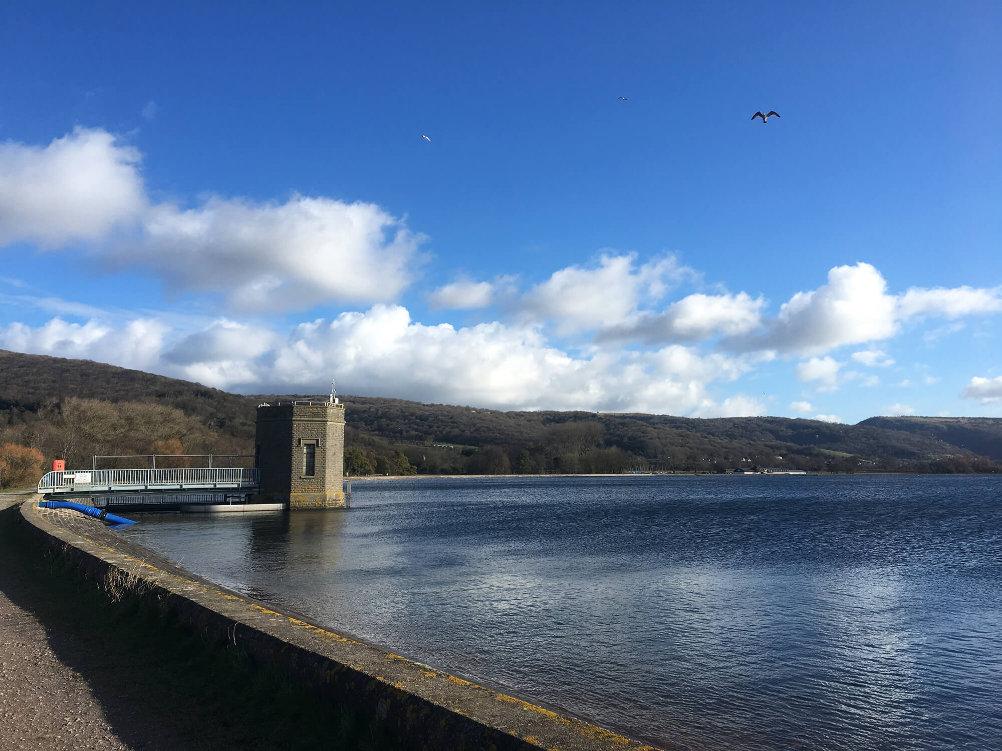 Raise your fishing game anywhere with Catch. Elevate your fishing ...