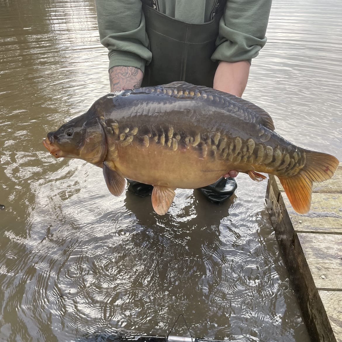 Raise your fishing game anywhere with Catch. Elevate your fishing ...