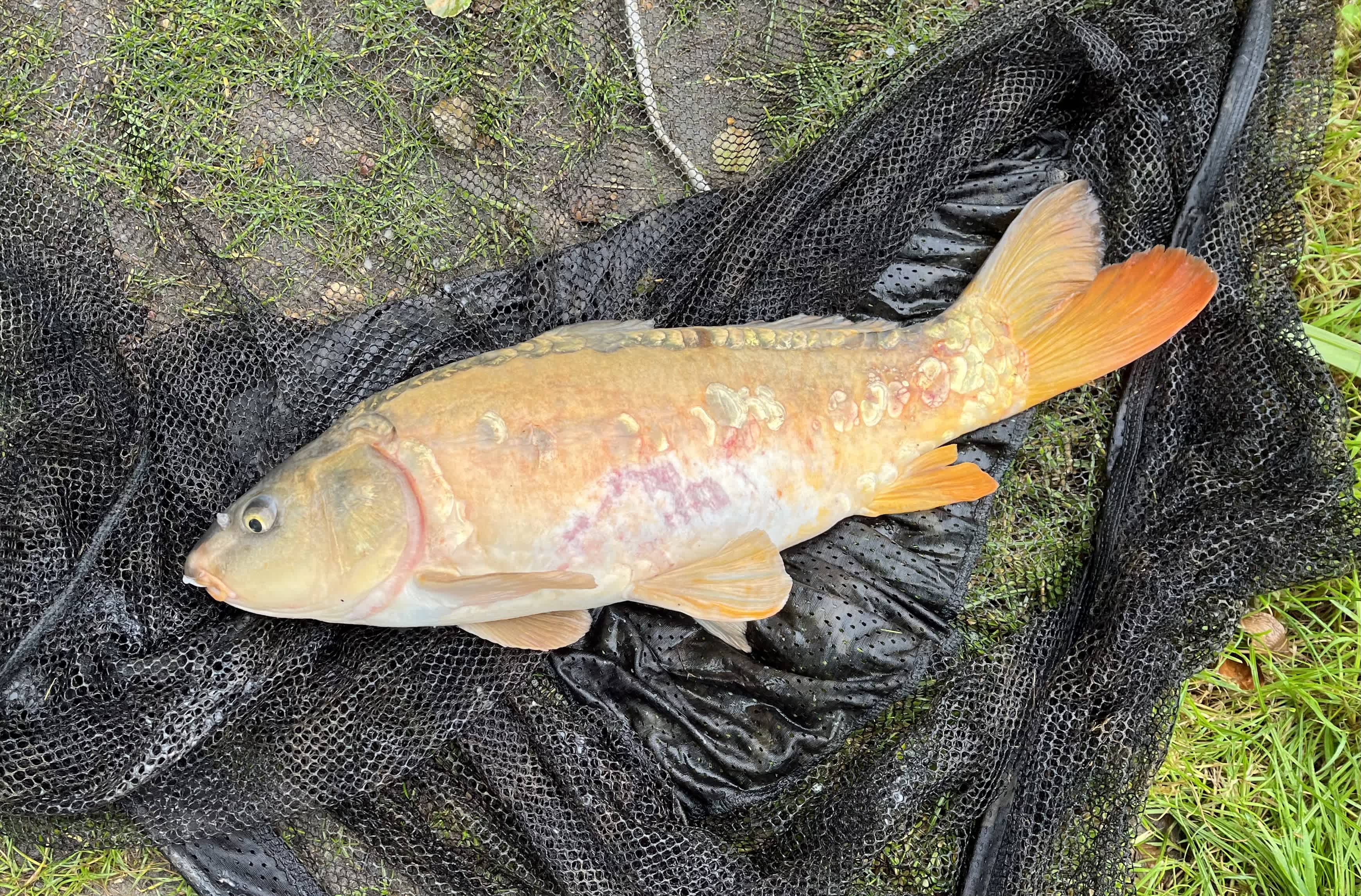 One place to go, for the novice or pro anglers | Catch