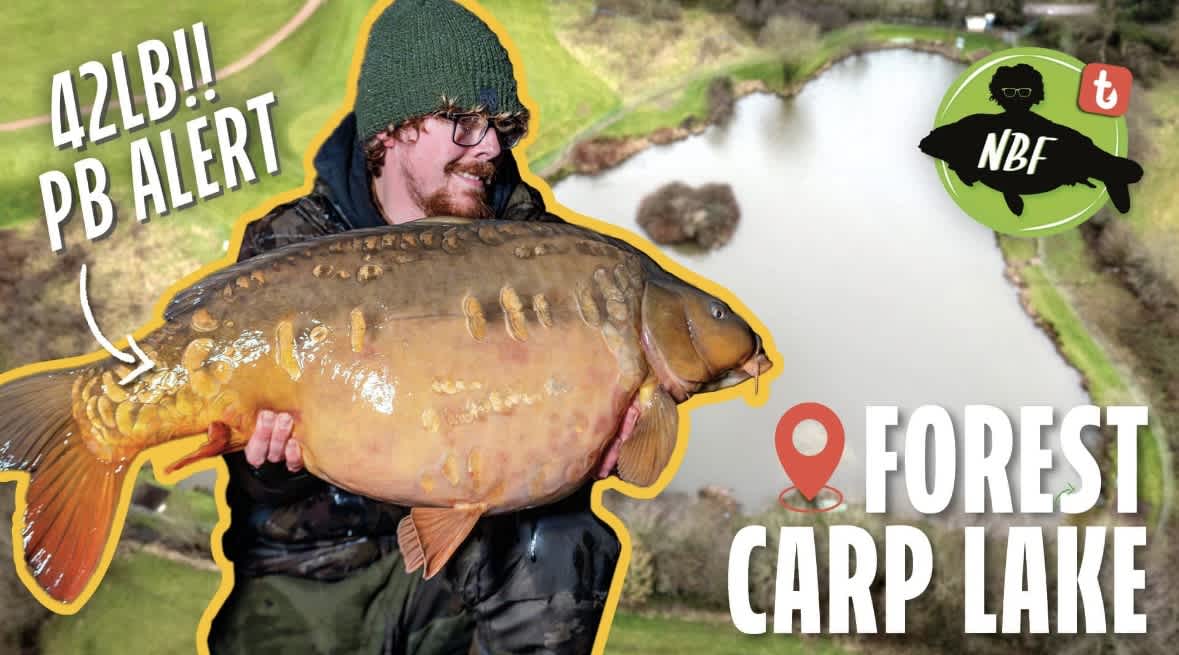 Raise your fishing game anywhere with Catch. Elevate your fishing experience with one simple ...