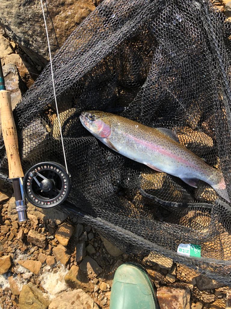 Raise your fishing game anywhere with Catch. Elevate your fishing ...