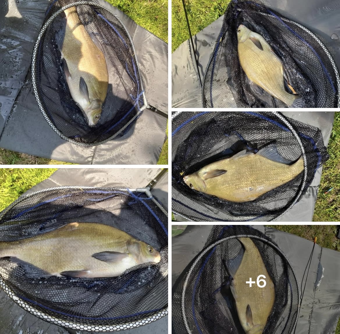 One place to go, for the novice or pro anglers | Catch