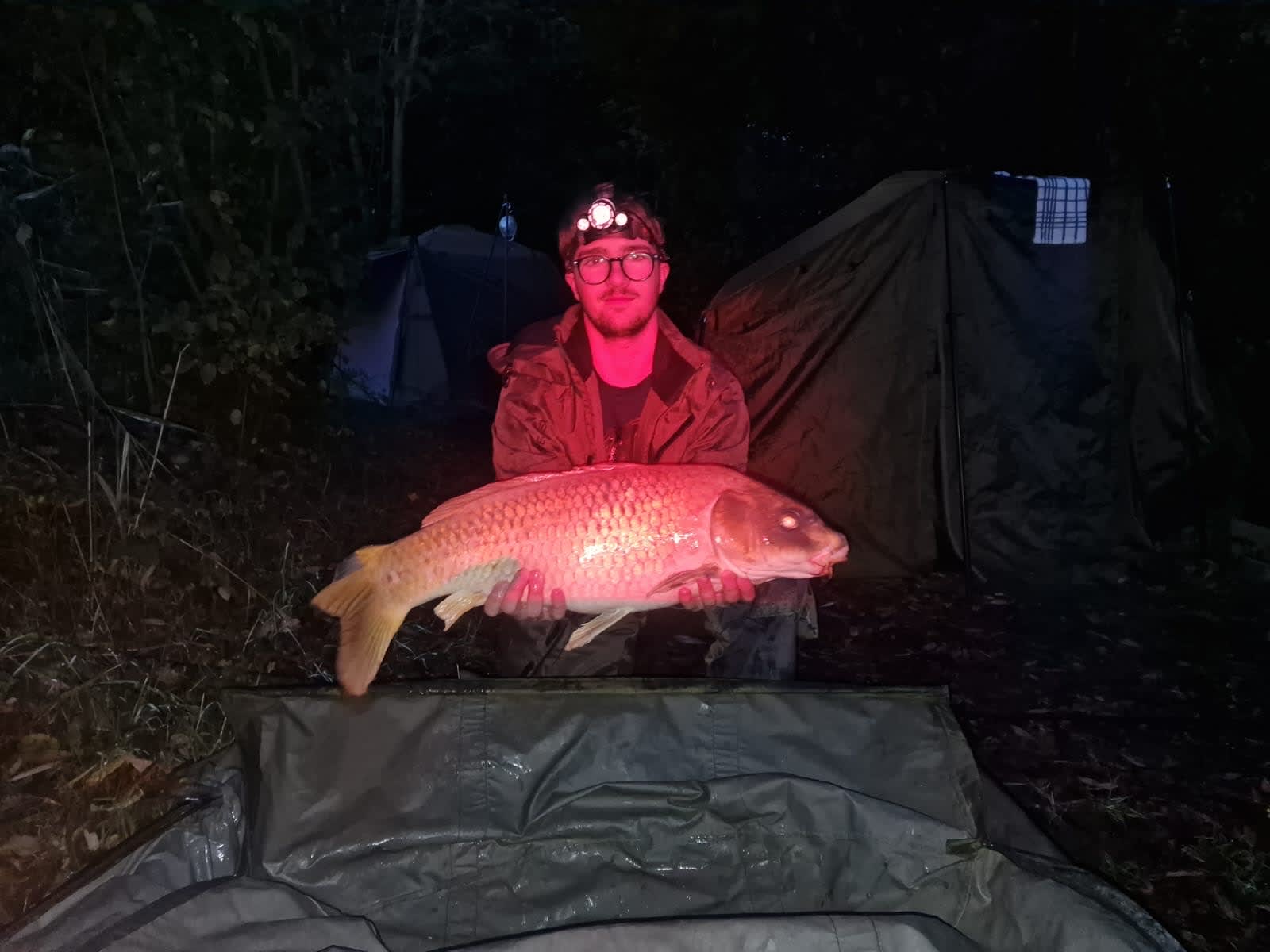 Raise your fishing game anywhere with Catch. Elevate your fishing ...