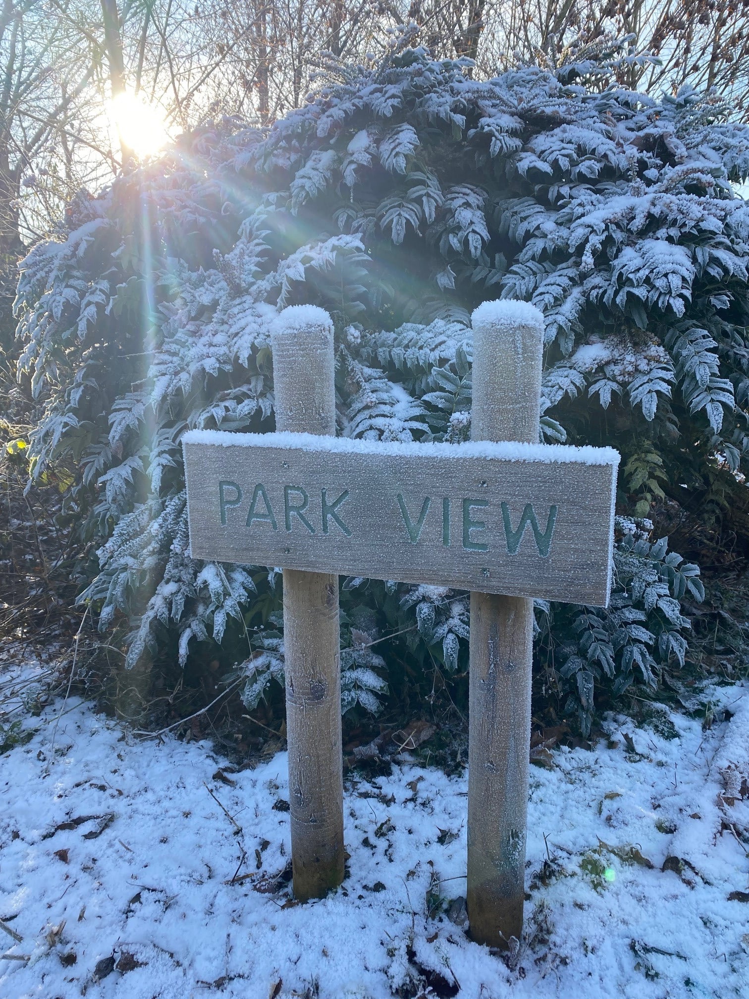 Raise your fishing game anywhere with Catch. Elevate your fishing ...