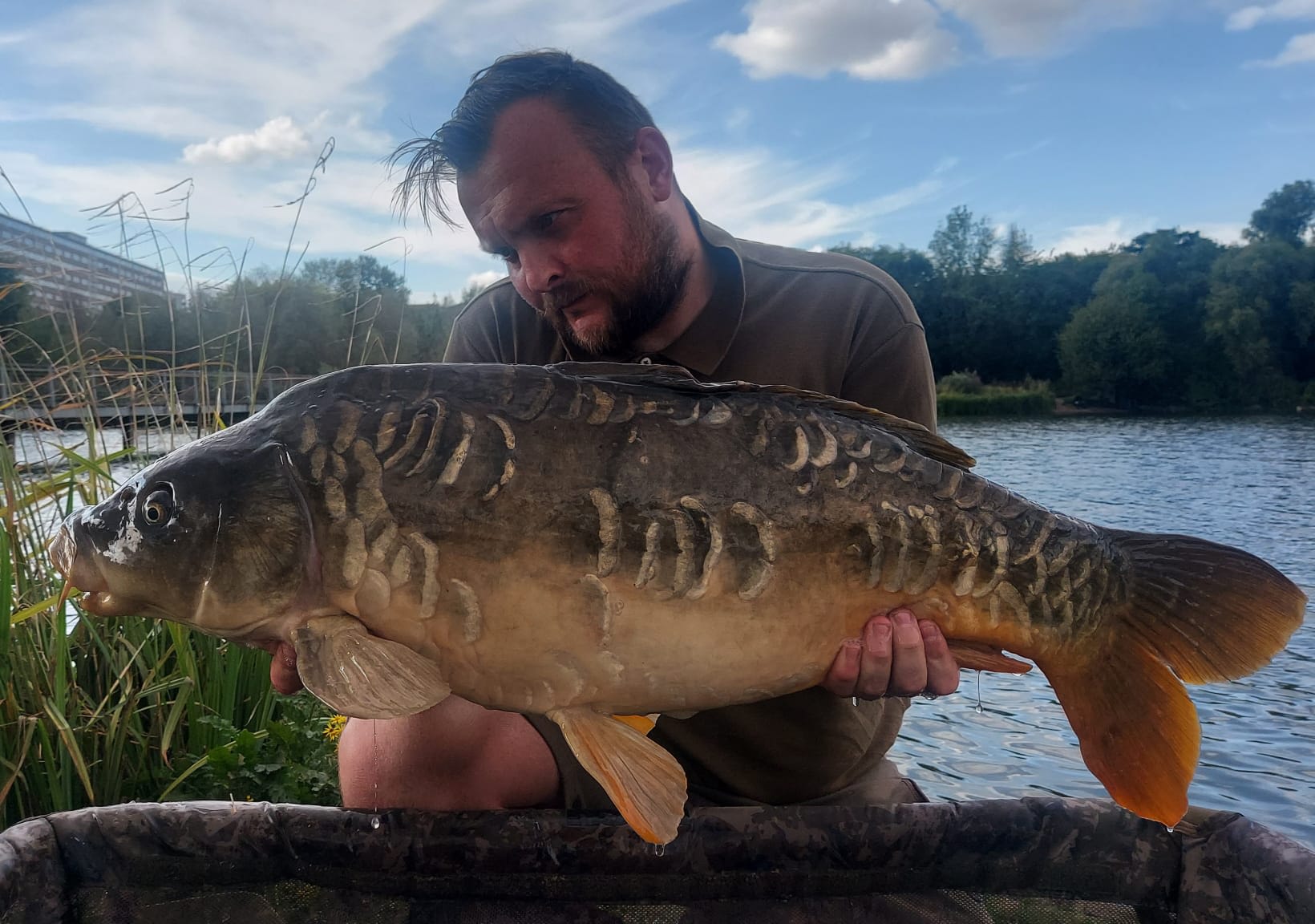 Raise your fishing game anywhere with Catch. Elevate your fishing ...