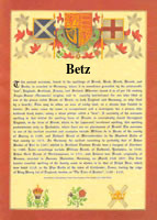 Surname Database: Betz Last Name Origin