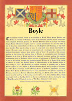 Surname Database: Boyle Last Name Origin