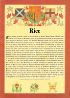 Surname Database: Rice Last Name Origin