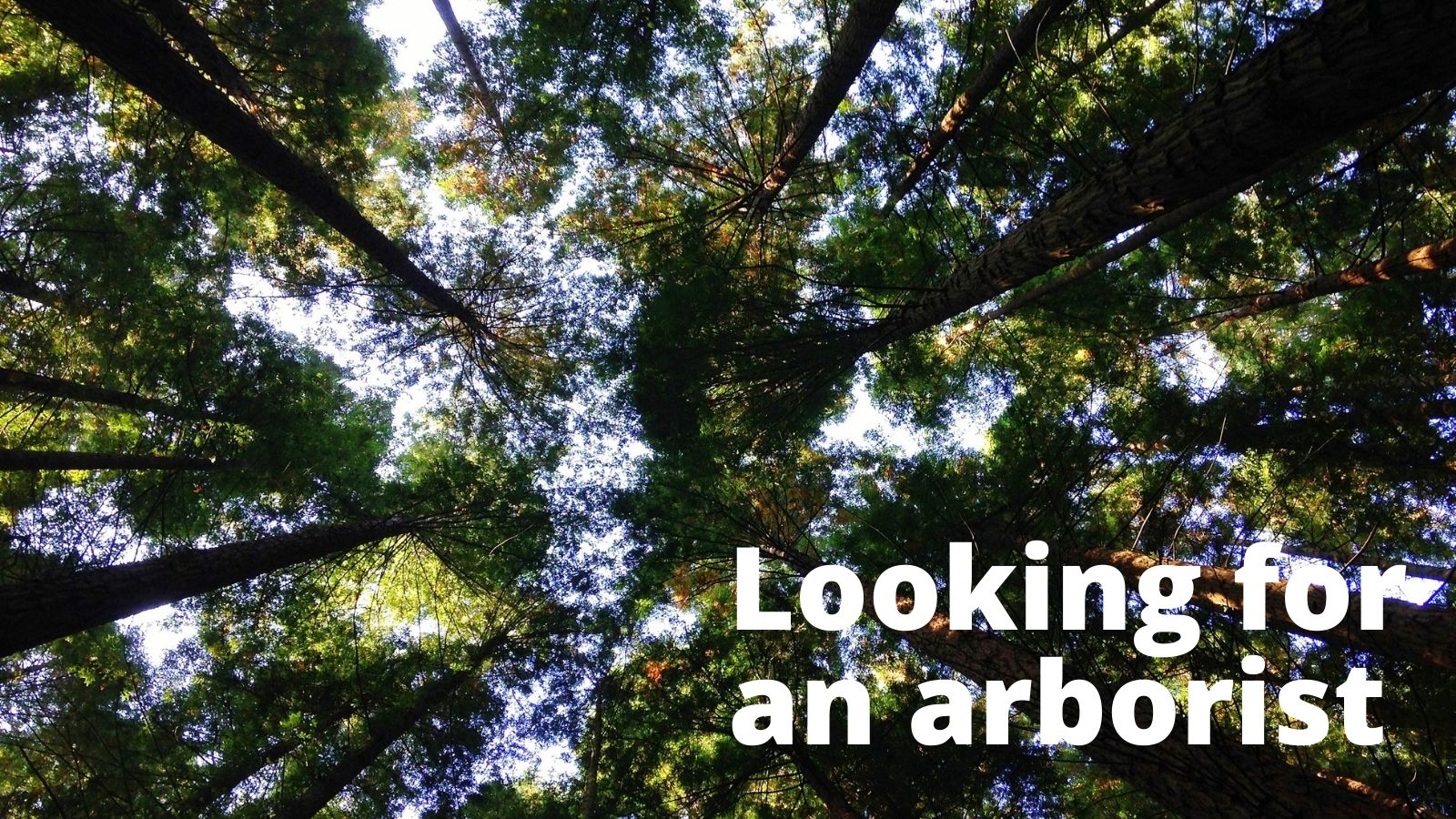 Welcome | 1300apprentice