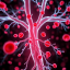 3D Artery Blood Flow Simulation