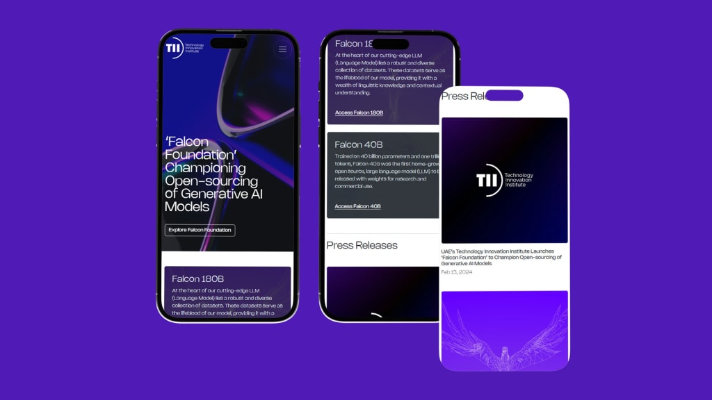Falcon Foundation Case Study | GTECH