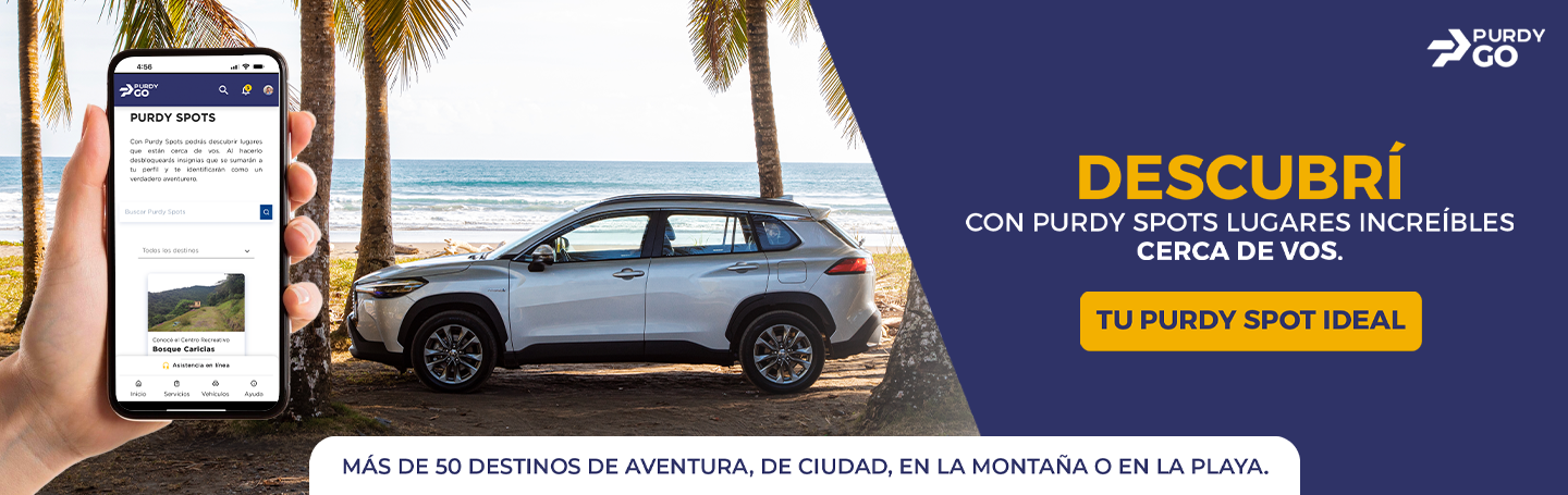 Purdy Go | Grupo Purdy