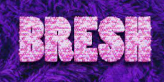 Bresh codigos descuento