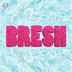 Codigo descuento Bresh: de descuento en diciembre de 20252025