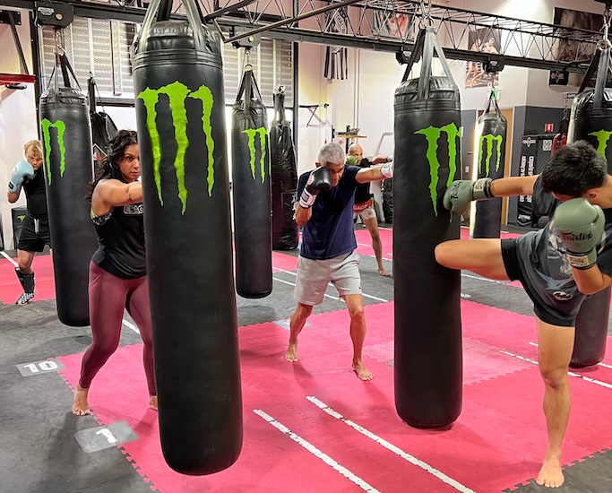 Danville Mma - CSA Gym - Danville, California