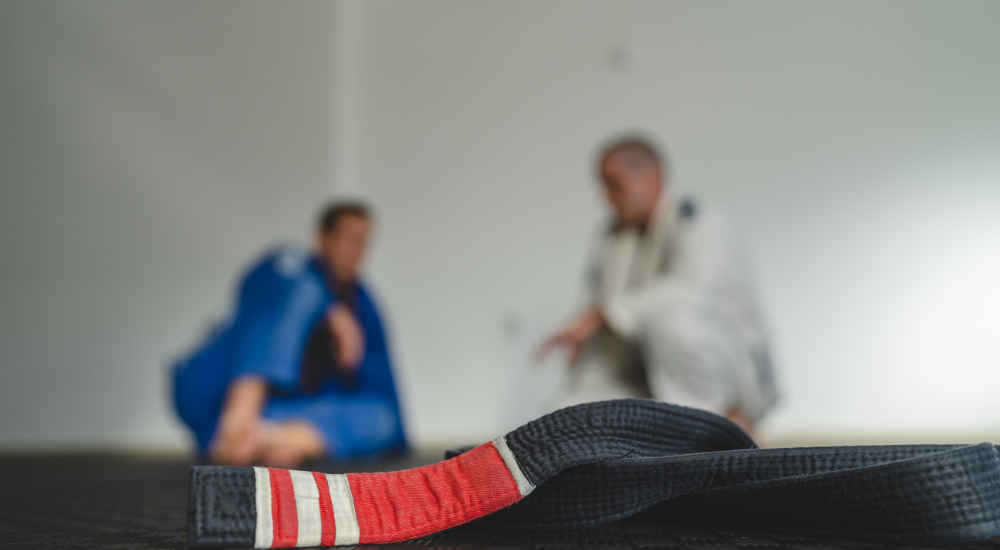 Trinity Brazilian Jiu Jitsu - David Vieira Brazilian Jiu-Jitsu ...