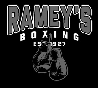 Zionsville Adult Boxing - Top Level Academy - Indianapolis, Indiana