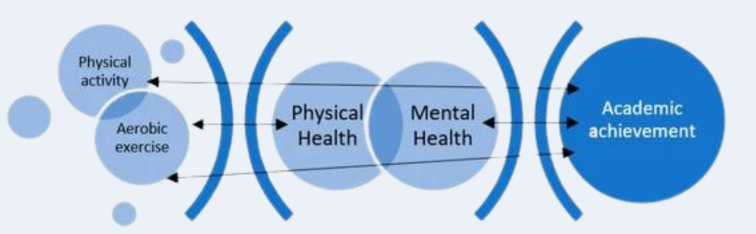 Exploring How Jiu-Jitsu Enhances Students' Academic Performance